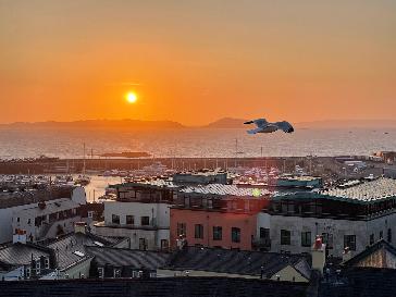 Alderney Airport - BBC Weather