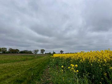 Mildenhall Royal Air Force Base - BBC Weather