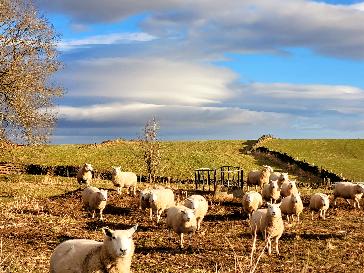Doncaster - BBC Weather
