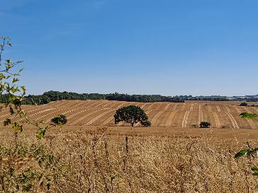 Reading - BBC Weather
