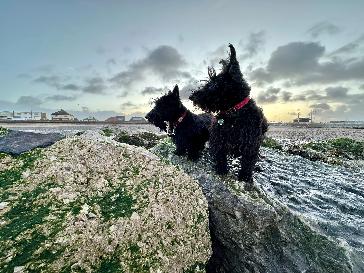 Clitheroe - BBC Weather