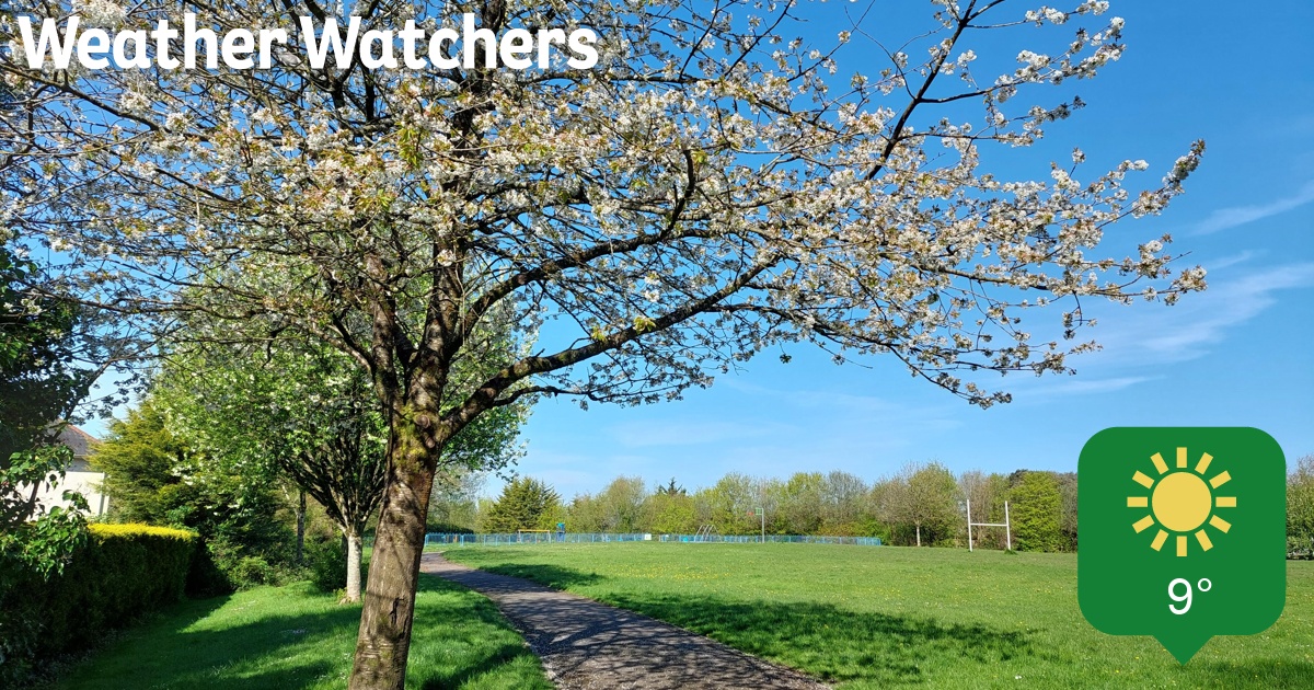 Report - BBC Weather Watchers
