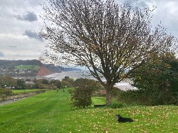 Exeter - BBC Weather