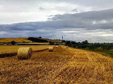 Leicester - BBC Weather