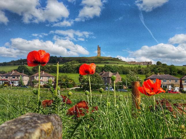 Report - BBC Weather Watchers