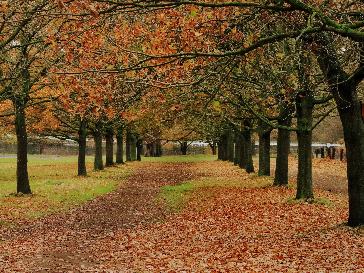 Nottingham - BBC Weather