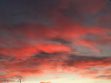 Airdrie - BBC Weather