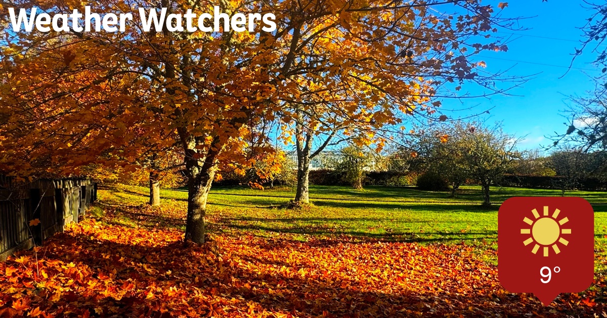 Report - BBC Weather Watchers