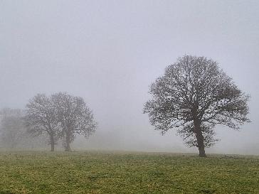 Edenbridge - BBC Weather