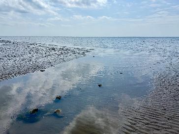 Berwick - BBC Weather