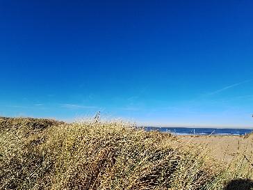 Bootle - BBC Weather