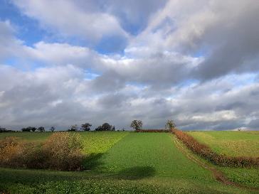 Exeter - BBC Weather