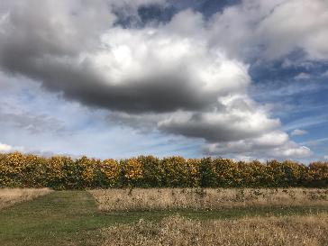 Colchester - BBC Weather