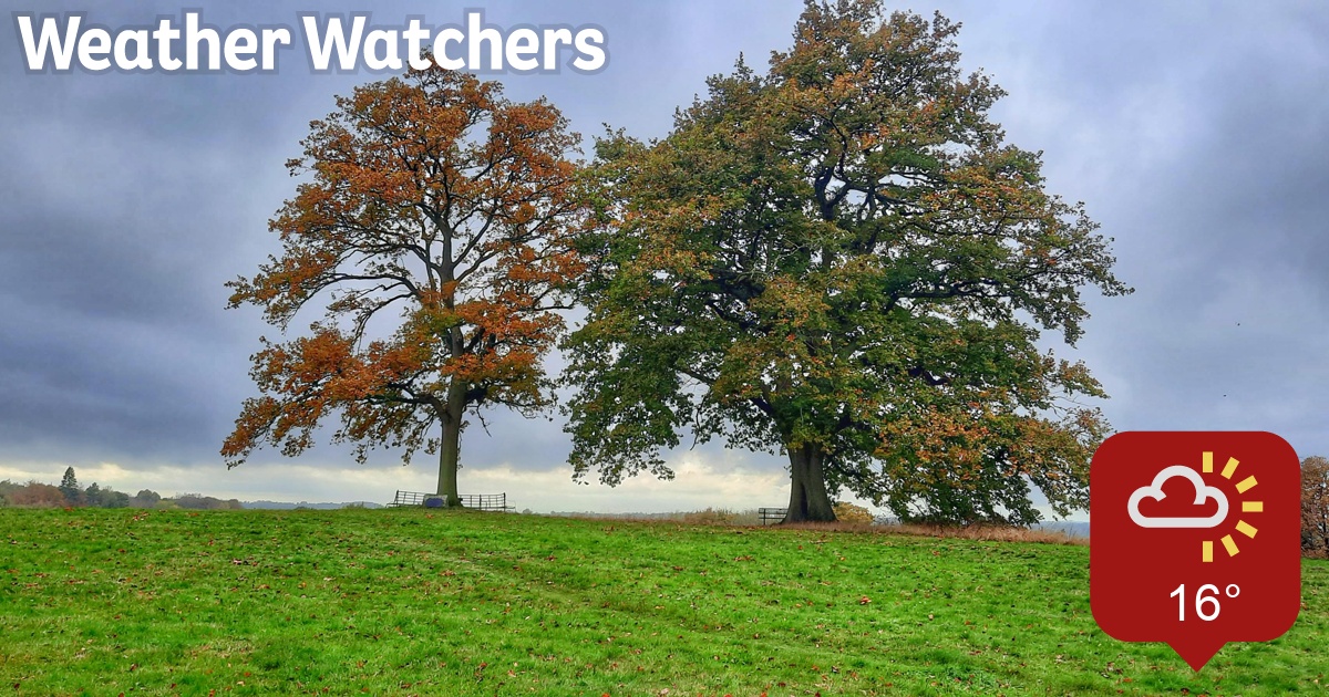 Report - BBC Weather Watchers