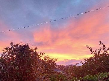 Torquay - BBC Weather