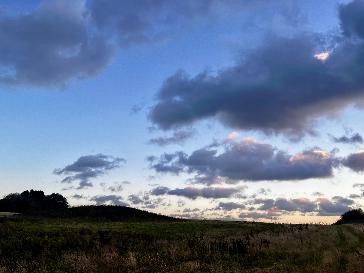 Congleton - BBC Weather