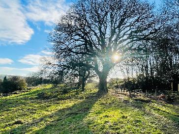 Audley - BBC Weather