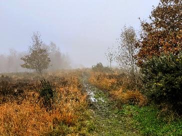 Clitheroe - BBC Weather