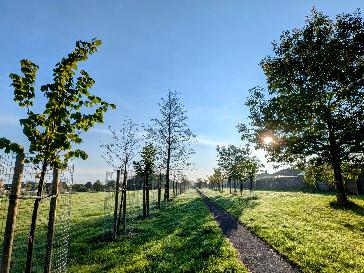 Chester - BBC Weather