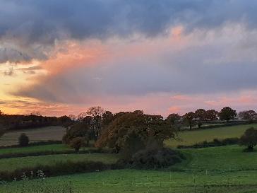 Redditch - BBC Weather