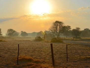 Basildon - BBC Weather