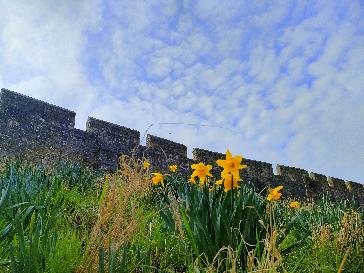 Harrogate - BBC Weather