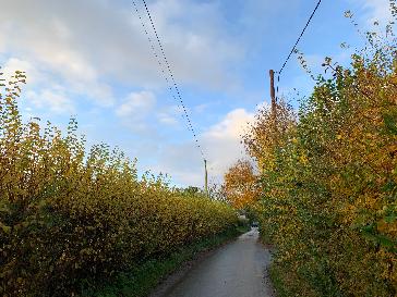 Swindon - BBC Weather