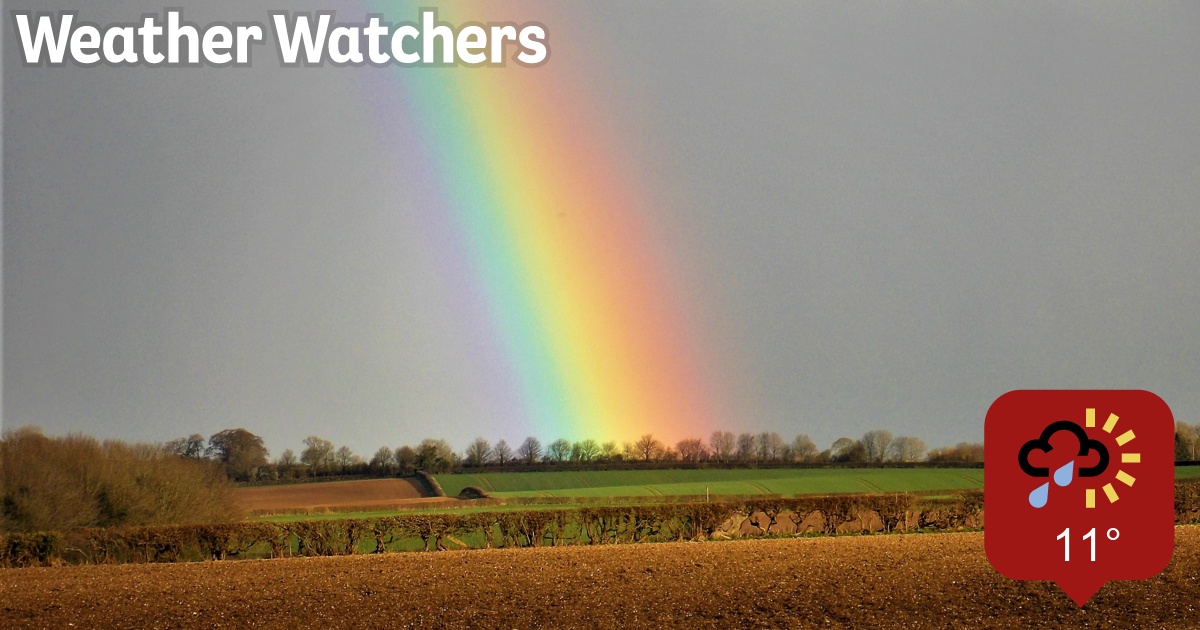 Report - BBC Weather Watchers