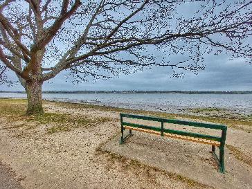 Basildon - BBC Weather