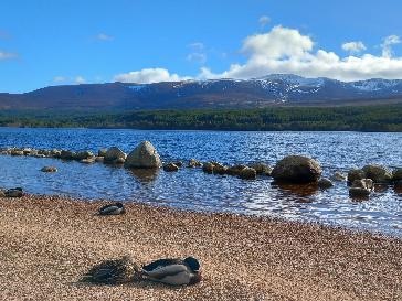 Inverness - BBC Weather