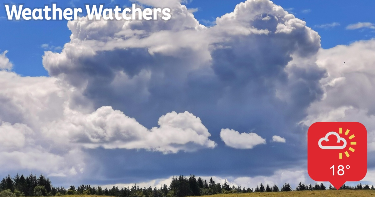 Report - BBC Weather Watchers
