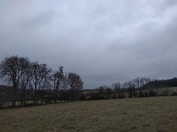 Maidstone - BBC Weather