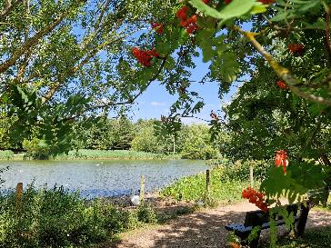 Beeston - BBC Weather