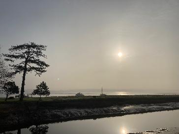 Torquay - BBC Weather