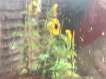 Reading - BBC Weather