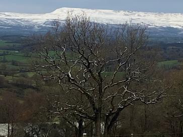 Bangor - BBC Weather