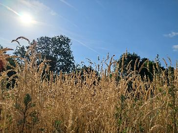 Coventry - BBC Weather