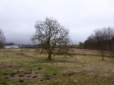 Carlisle - BBC Weather