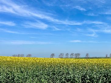 Gravesend - BBC Weather