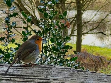 Guildford - BBC Weather