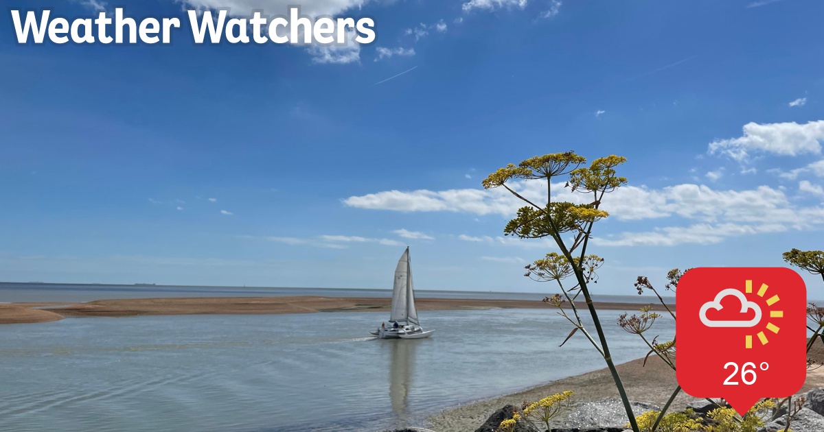 Report - BBC Weather Watchers