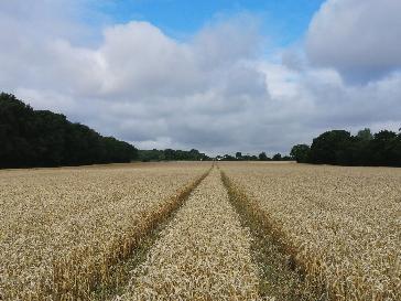 Colchester - BBC Weather