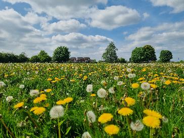 Leeds - BBC Weather