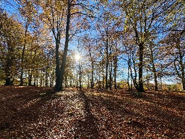 Arbroath - BBC Weather