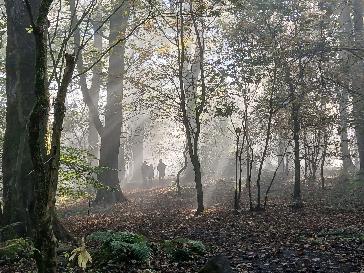Bingley - BBC Weather