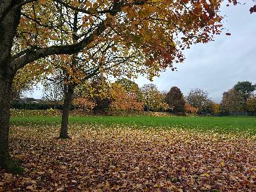 Lichfield - BBC Weather