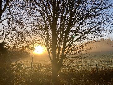 Dorchester - BBC Weather