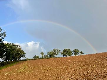 Great Torrington - BBC Weather