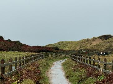 Barnstaple - BBC Weather