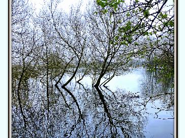 Solihull - BBC Weather